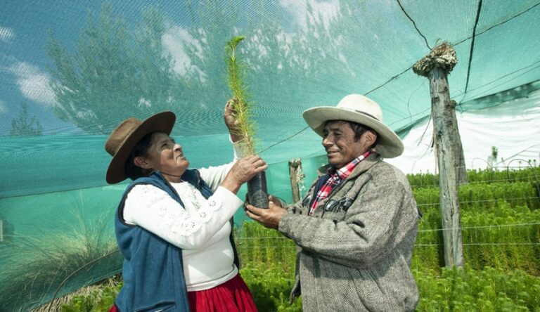 Las Bambas impulsa soluciones ambientales que integran energía limpia ...
